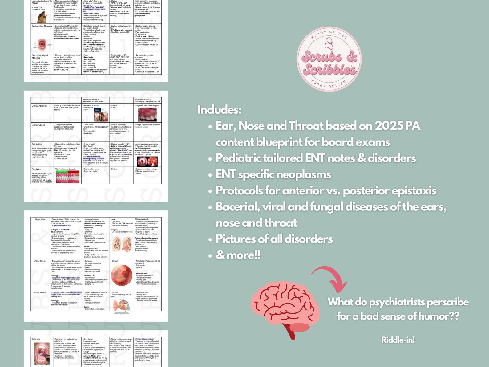 ENT Study Guide | PA School Study Guide Highlighted | Ears Nose Throat ...
