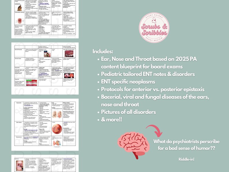 ENT Study Guide | PA School Study Guide Highlighted | Ears Nose Throat ...