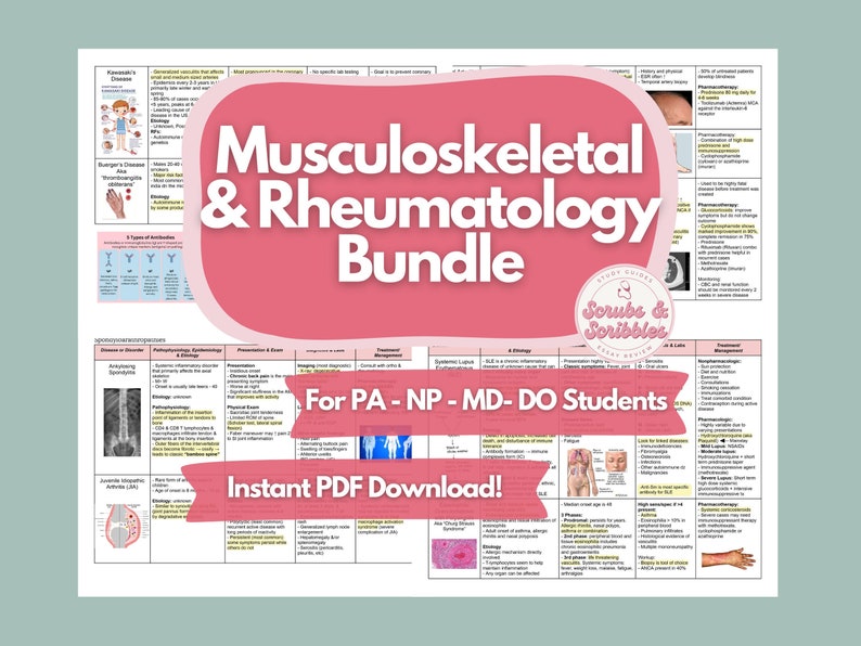 Musculoskeletal Rheumatology Study Guide | PA, NP, and Med School (PDF ...