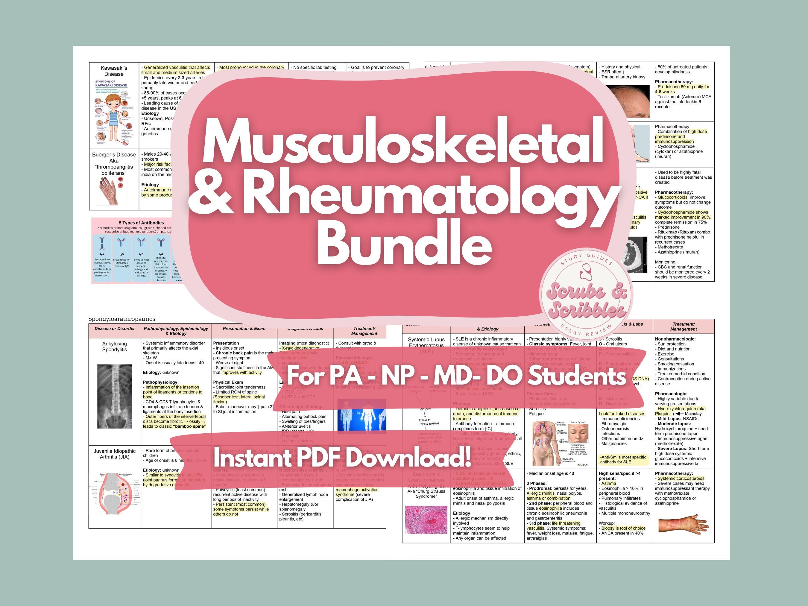 Musculoskeletal Rheumatology Study Guide | PA, NP, and Med School (PDF ...