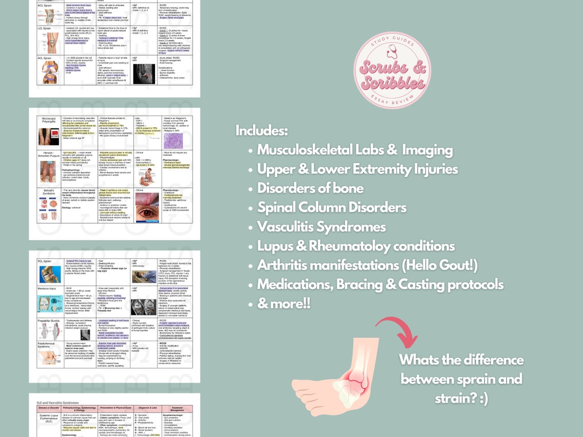 Musculoskeletal Rheumatology Study Guide | PA, NP, and Med School (PDF ...