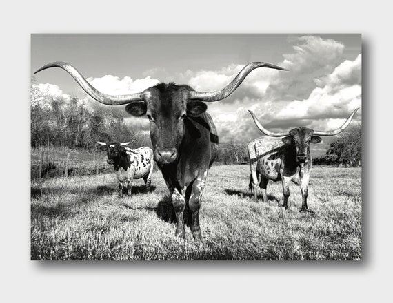 Longhorn Wall Decor Longhorn Art Longhorn Print Longhorn | Etsy