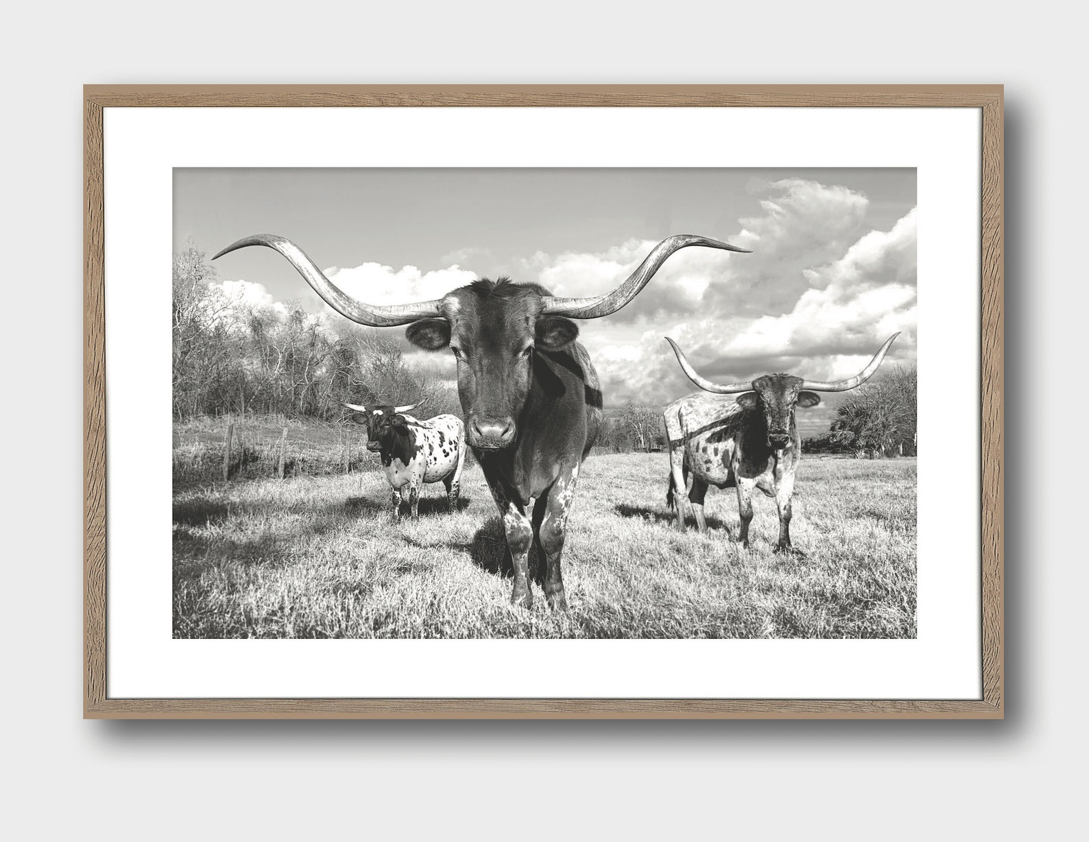 Longhorn Wall Decor Longhorn Art Longhorn Print Longhorn - Etsy