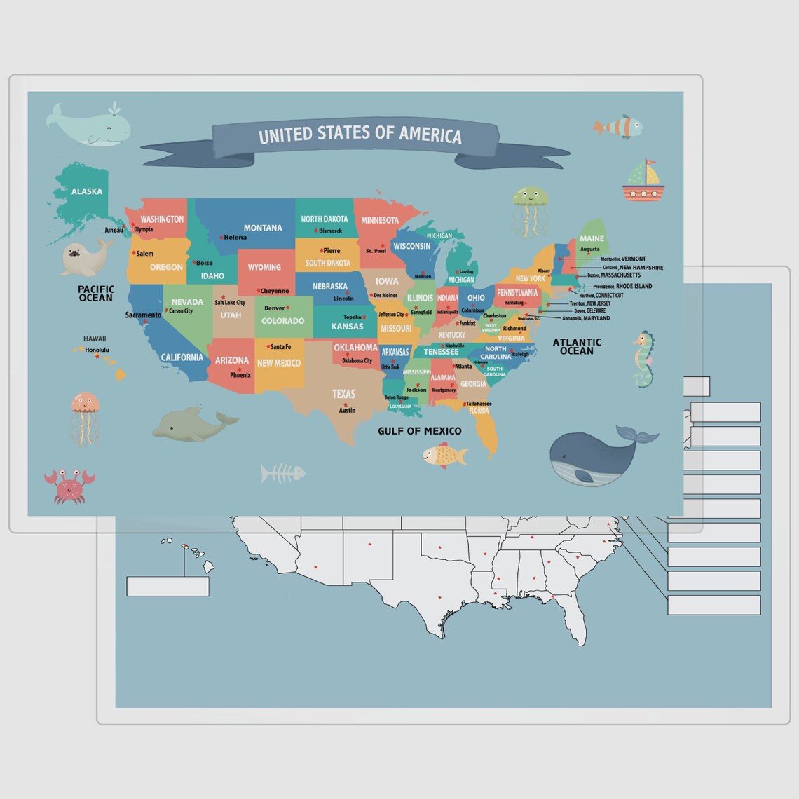 United States Map Placemat Practice Learning States and Capitals Dry ...