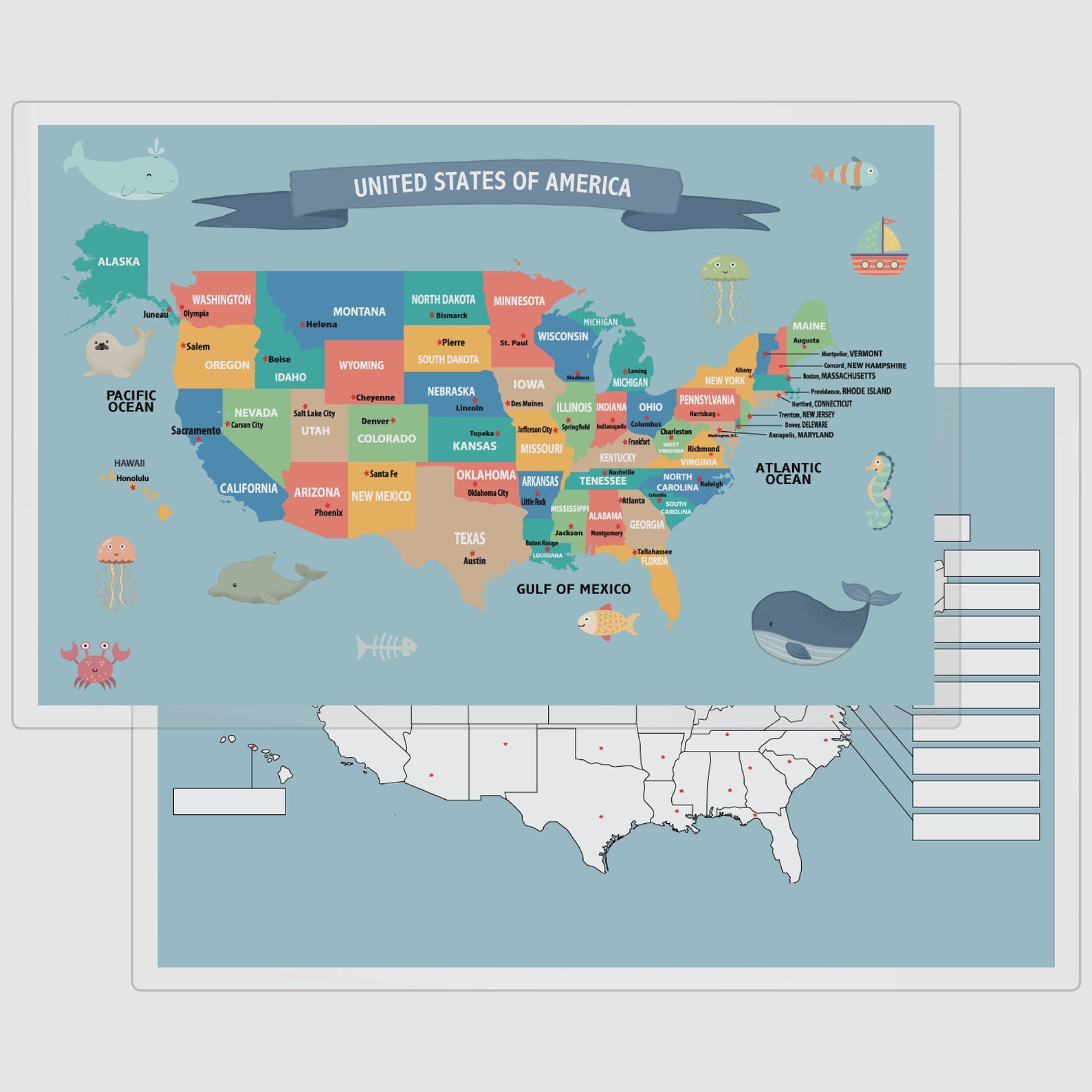 United States Map Placemat Practice Learning States and Capitals Dry ...