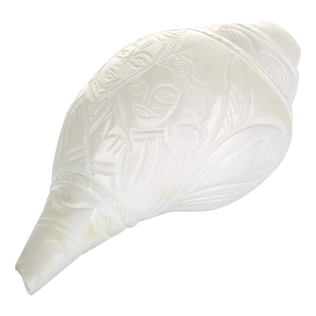 Puja Conch Shell, You Have to Blow Into This Shell, It Makes a ...