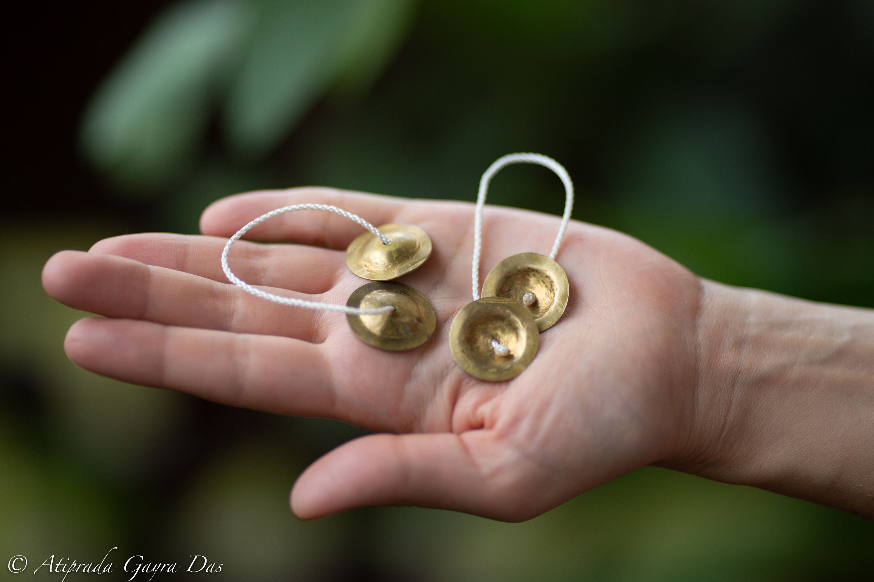 A Pair of Karatal for the Deities of Gaura Nitai Spiritual - Etsy