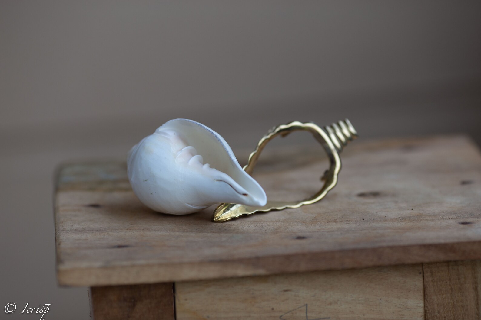 Puja Conch Shell For the washing of the Lord Hare Krishna | Etsy