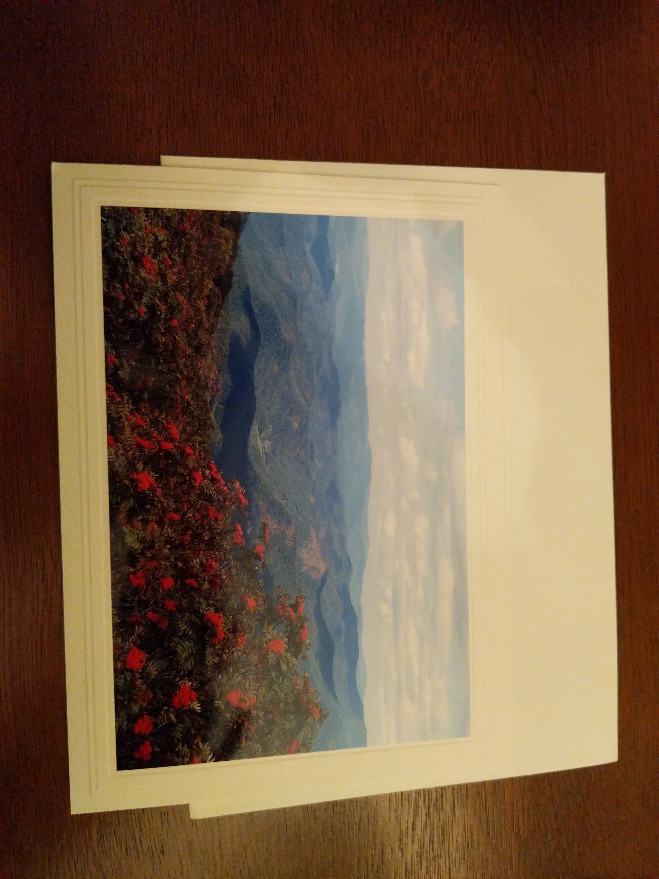 Photo Greeting Card Blue Ridge Parkway NC A View With the - Etsy