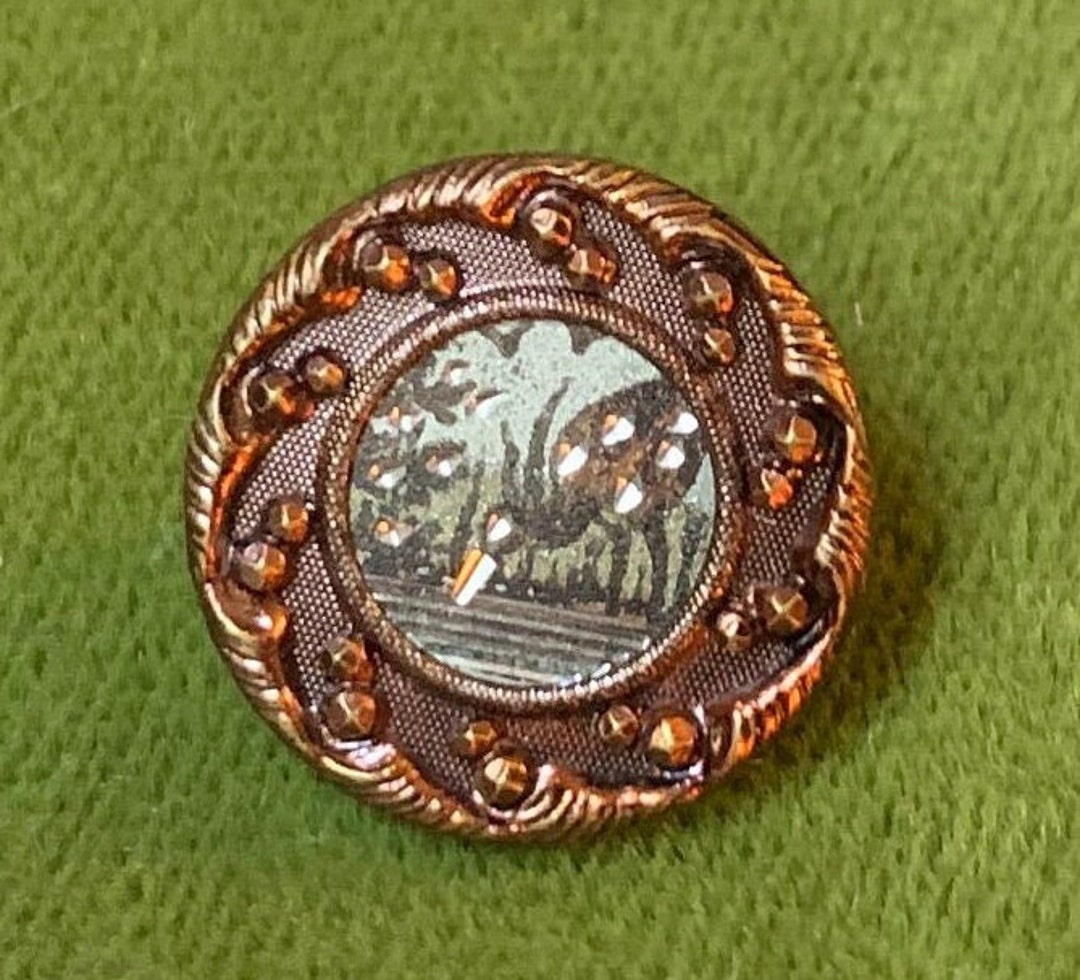 Antique Victorian Picture Buttons Single Button or Set of 6 Bird and ...