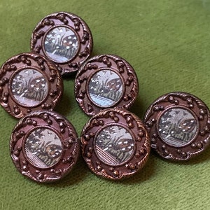 Antique Victorian Picture Buttons Single Button or Set of 6 Bird and ...