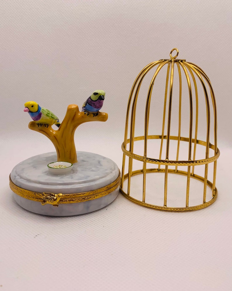 Ultra-rare Australian Rainbow Gouldian Finch Bird Cage - Etsy
