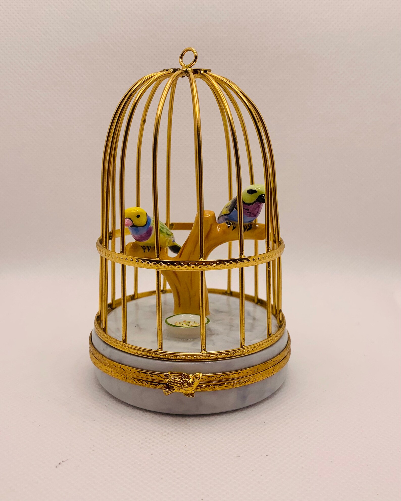 Ultra-rare Australian Rainbow Gouldian Finch Bird Cage - Etsy