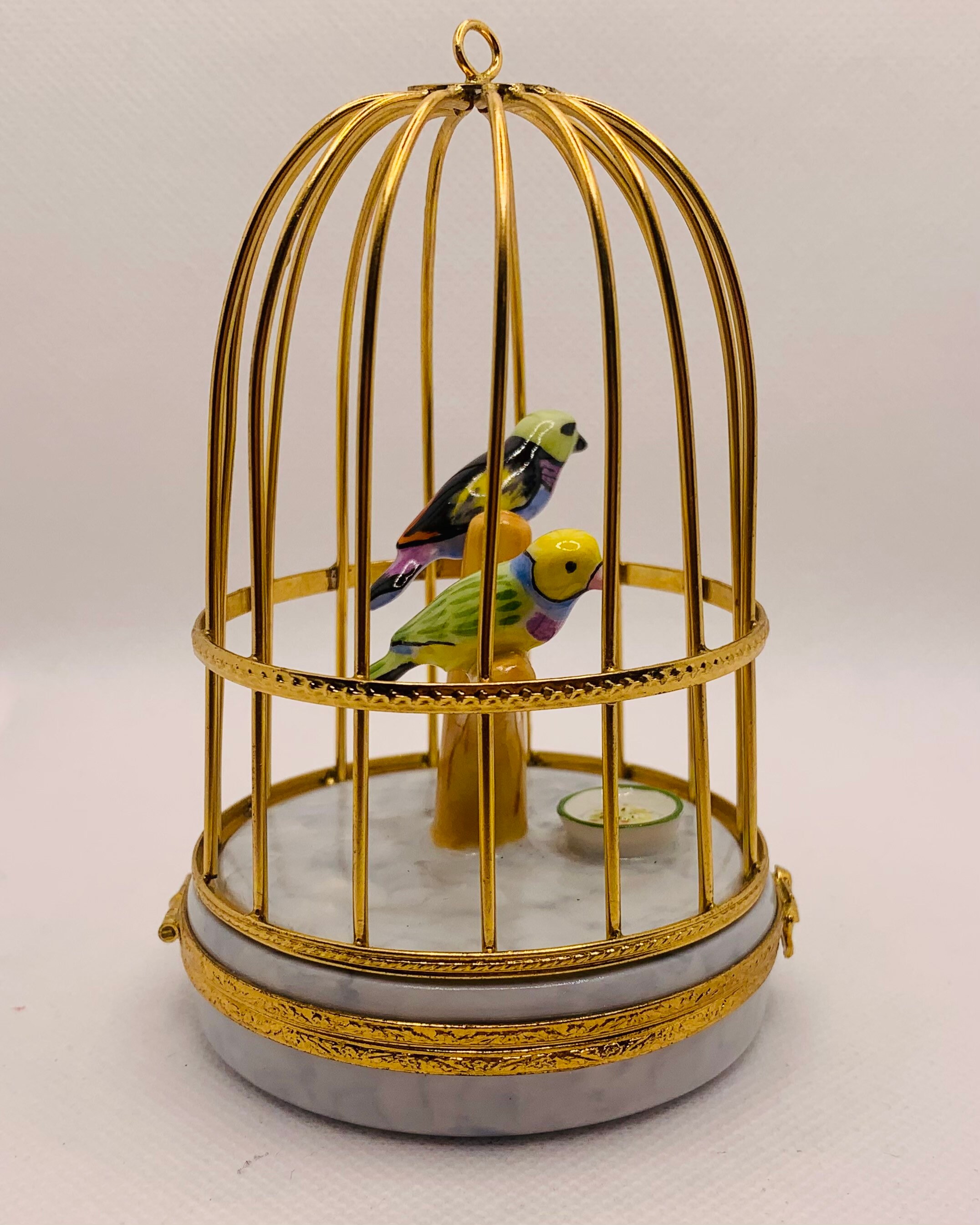Ultra-rare Australian Rainbow Gouldian Finch Bird Cage - Etsy