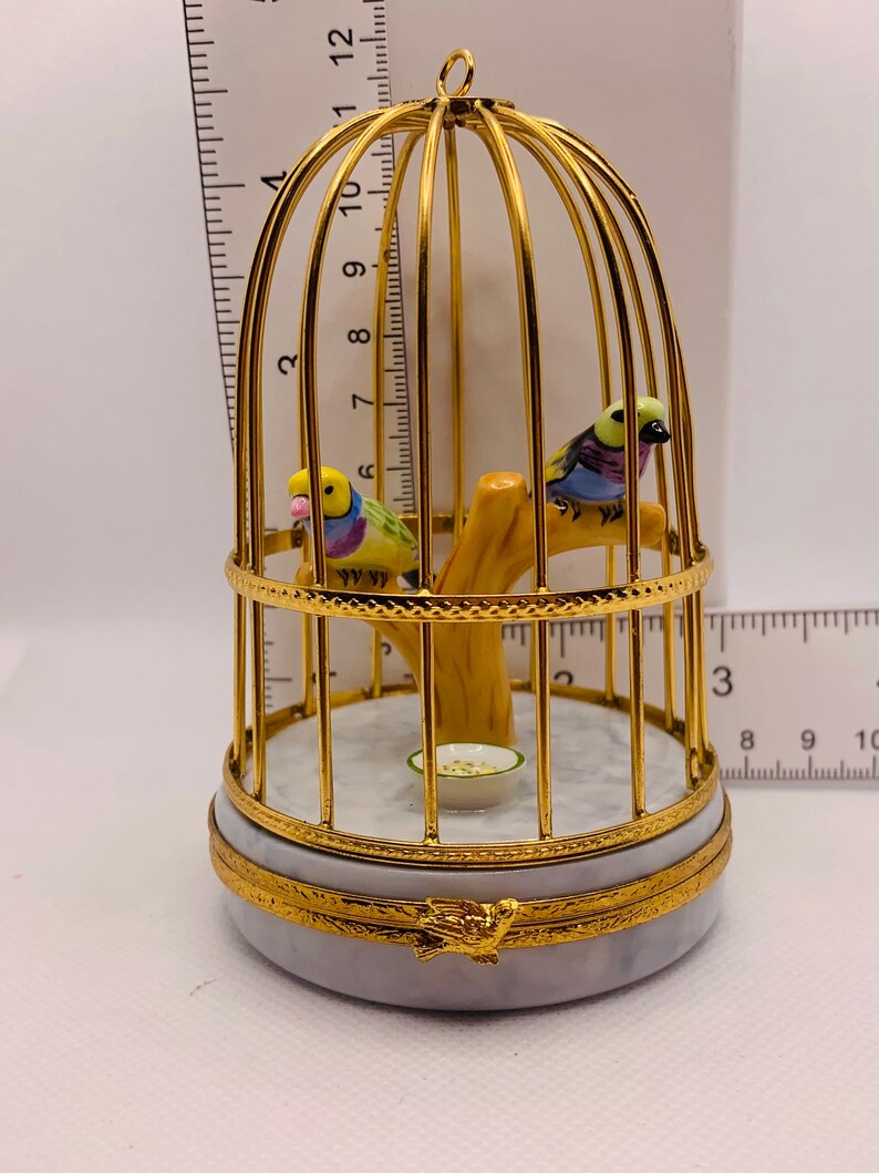 Ultra-rare Australian Rainbow Gouldian Finch Bird Cage - Etsy