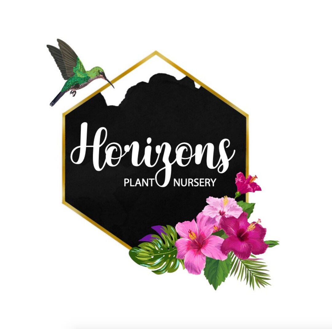 Plant Nursery Logo | Floral Logo | Natural Logo | Bird Logo | Boutique ...