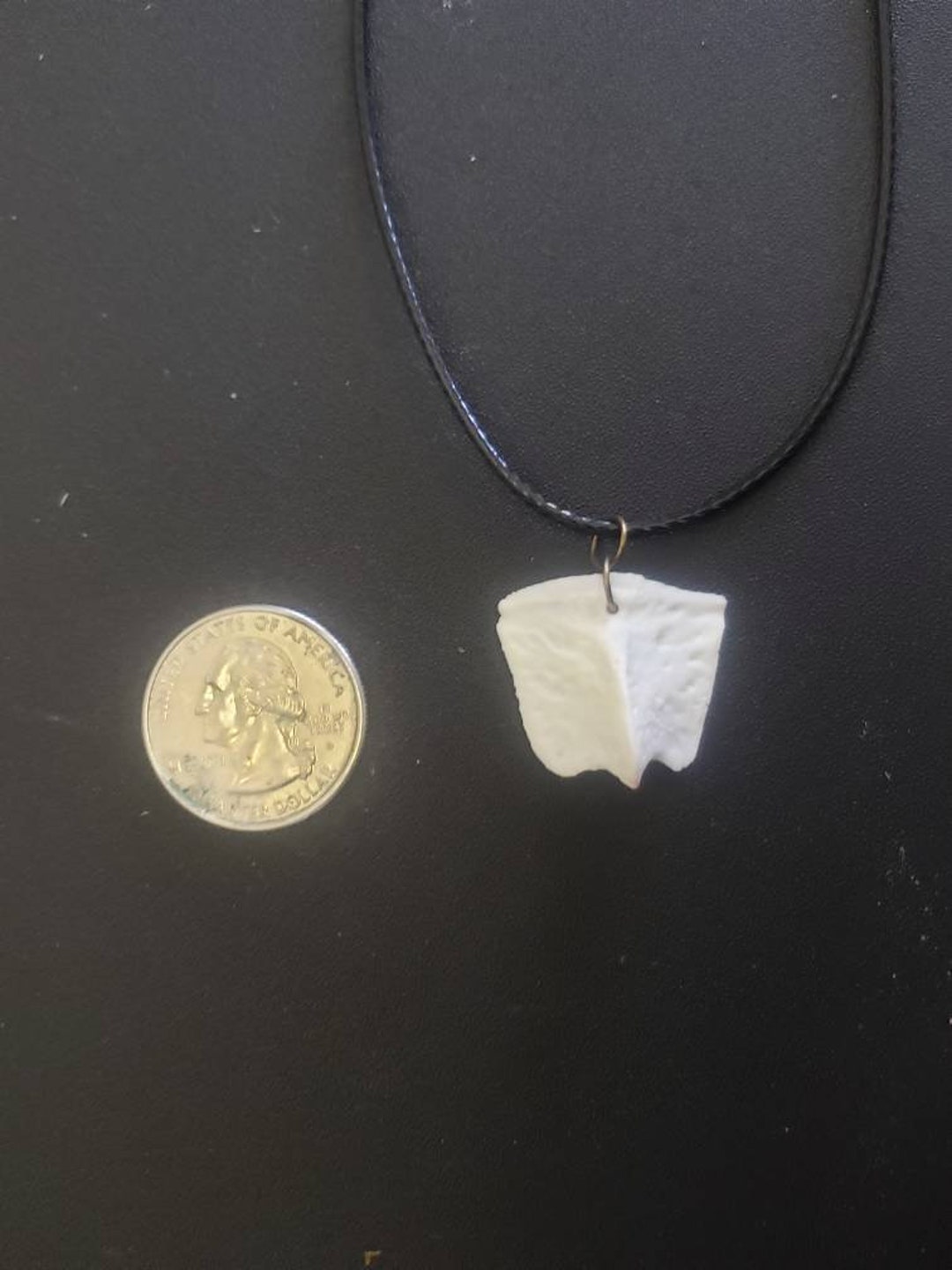 Bone Jewelry, Necklace, Real Bone, Oddities, Caiman Osteoderm - Etsy
