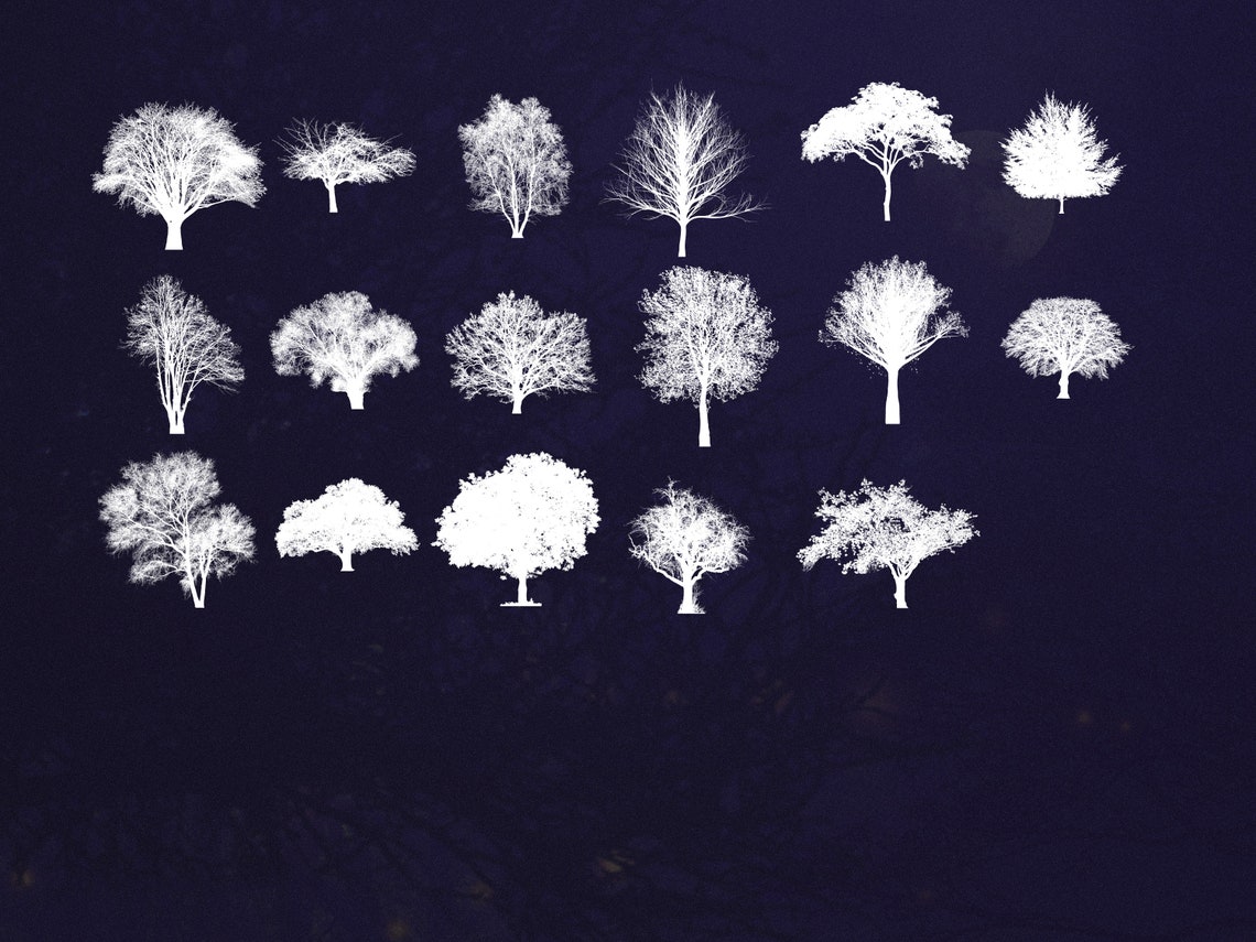 89 Procreate Tree Stamps Procreate Tree Silhouette Procreate | Etsy