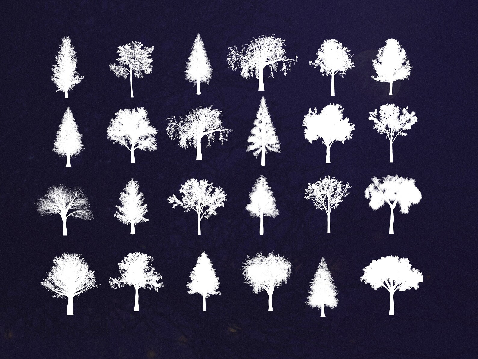 89 Procreate Tree Stamps, Procreate Tree Silhouette, Procreate Tree ...