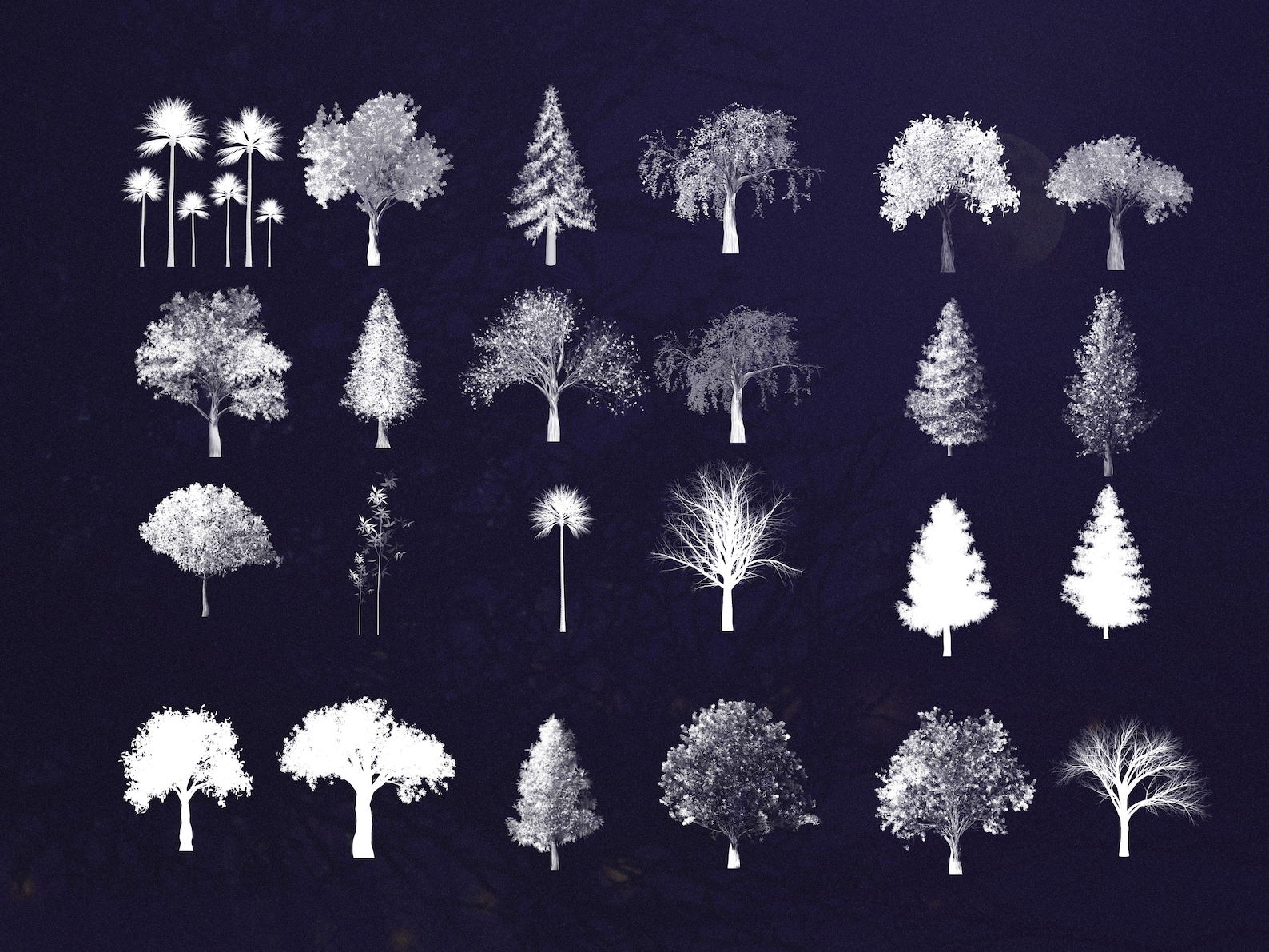 89 Procreate Tree Stamps, Procreate Tree Silhouette, Procreate Tree ...