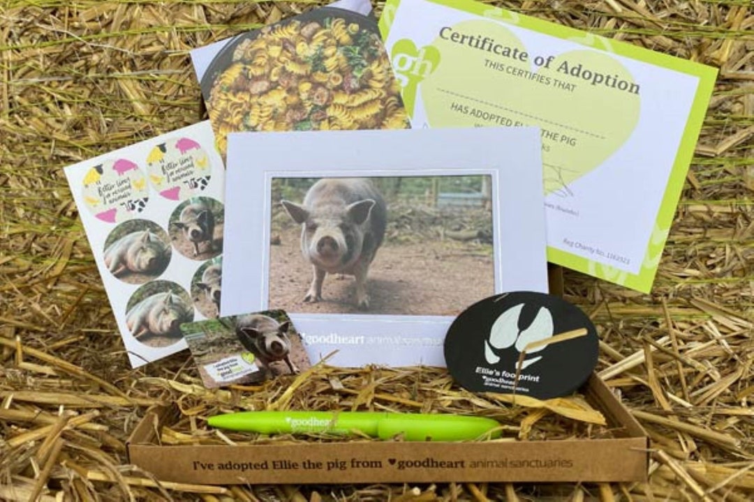 Adopt a Pig Gift Box: Adopt an Animal as a Gift Today - Etsy