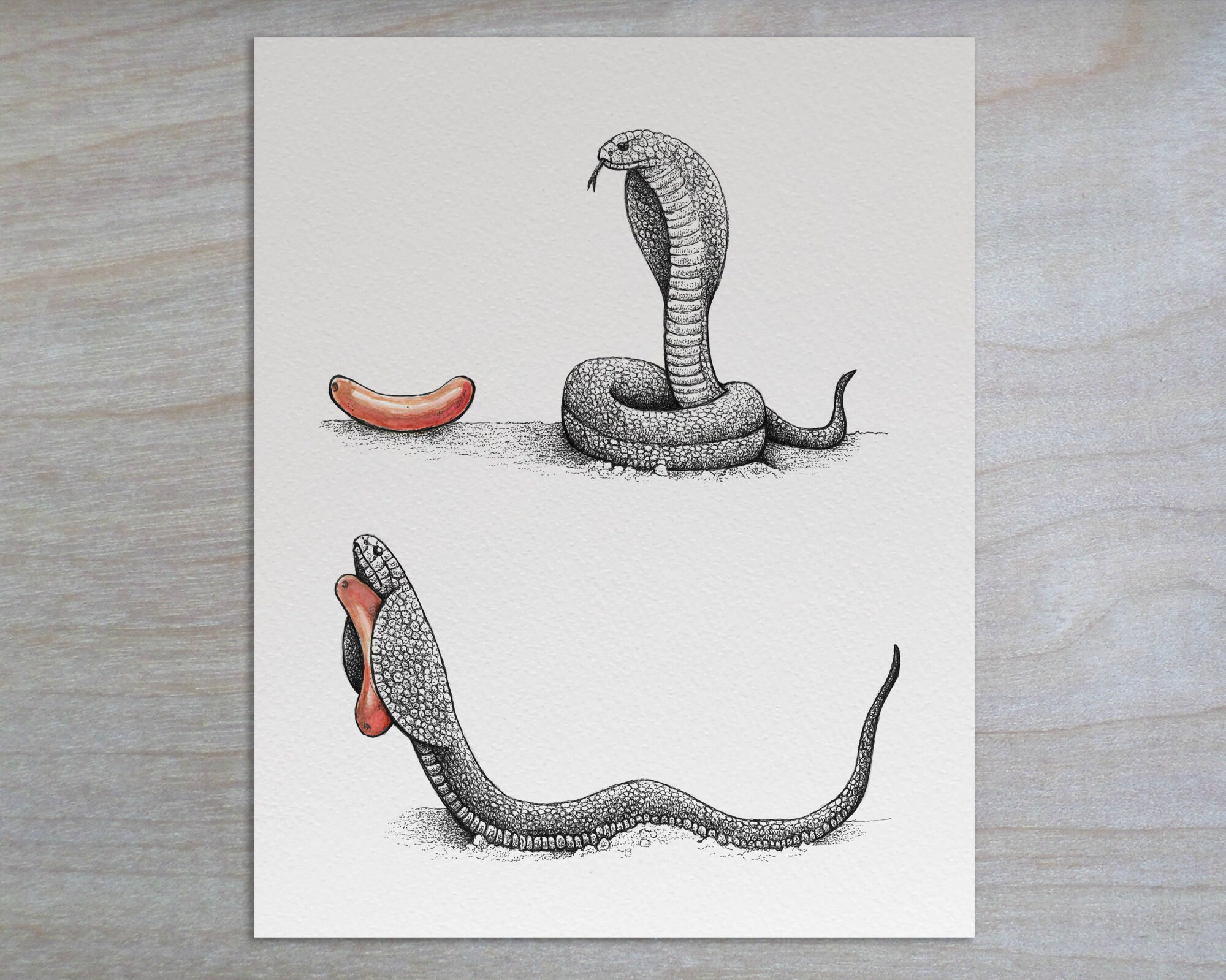 How To Draw A King Cobra