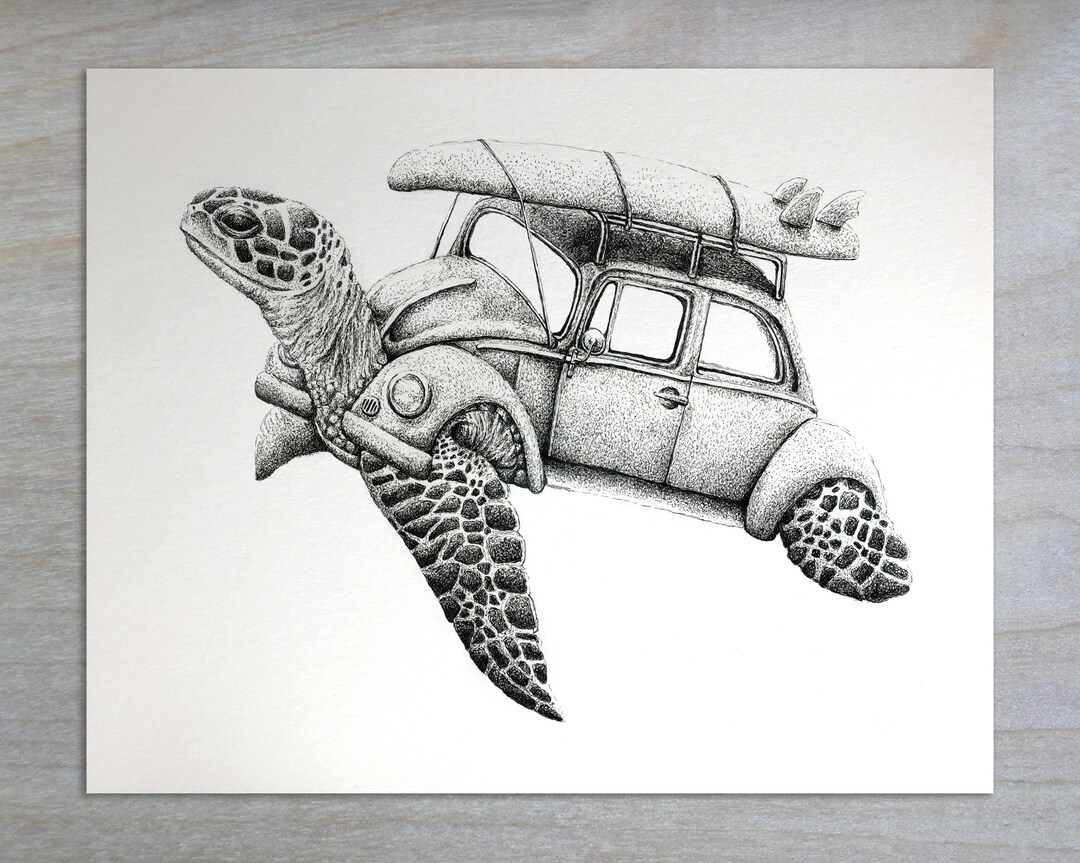 Surf Turtle: Signed Art Print Sea Turtle Pen Drawing Animal ...