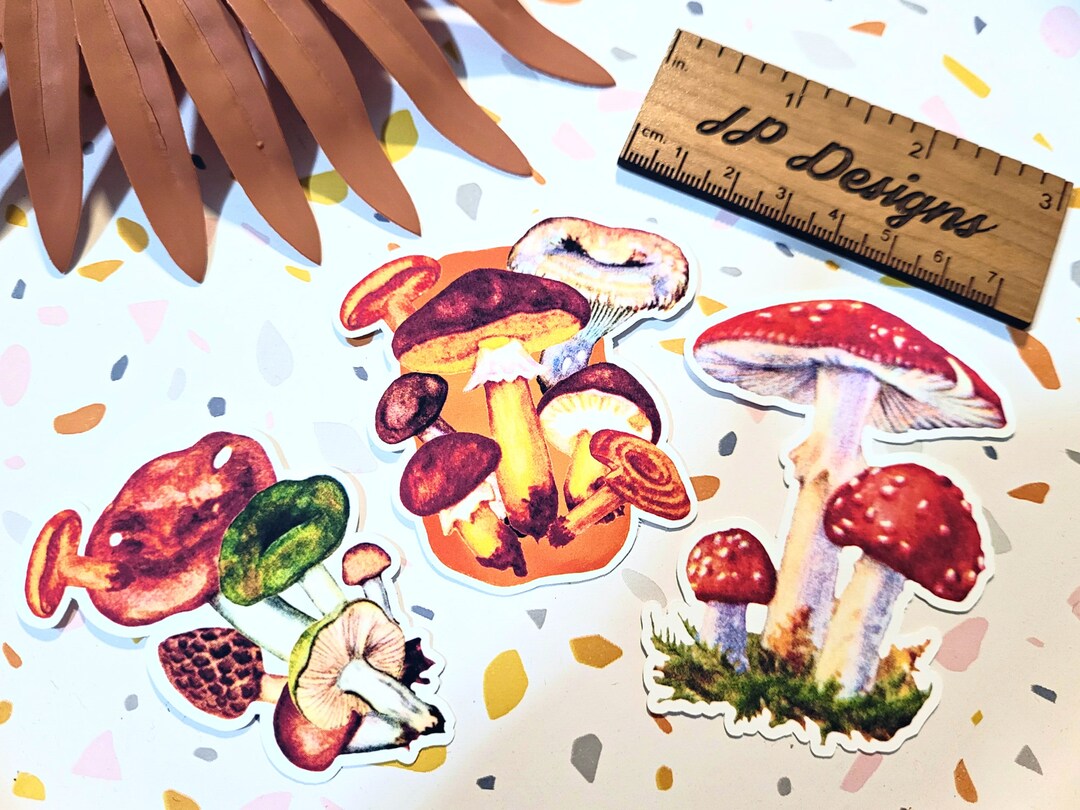 Vintage Retro Mushroom Sticker Set, Fungi Sticker Gift Set, Stickers ...