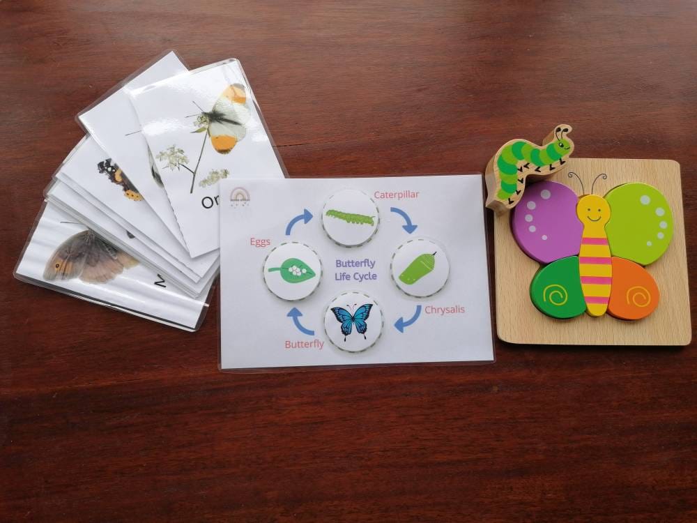 Butterfly Flash Cards and Printable Life Cycle Match. - Etsy