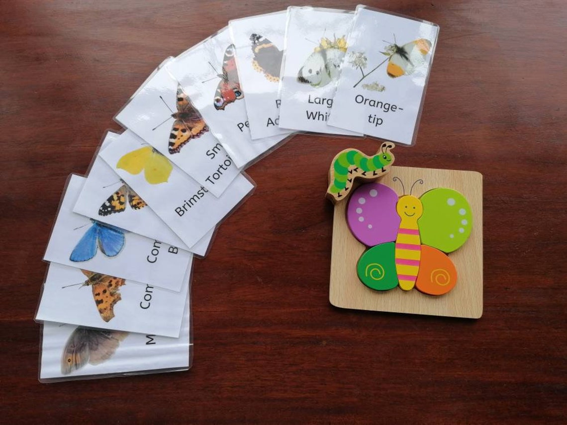 Butterfly Flash Cards and Printable Life Cycle Match. | Etsy