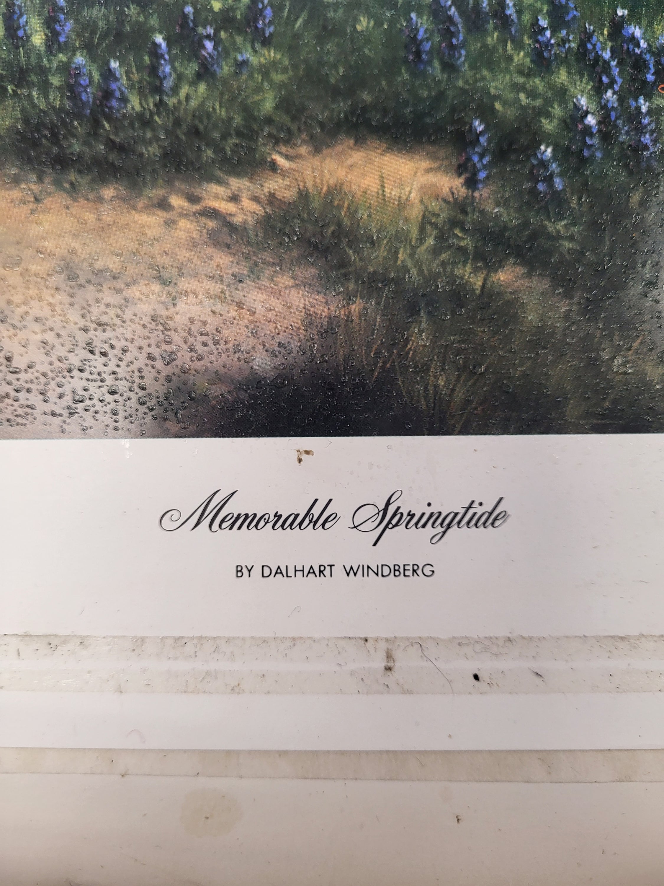 Dalhart Windberg Print Memorable Springtide - Etsy