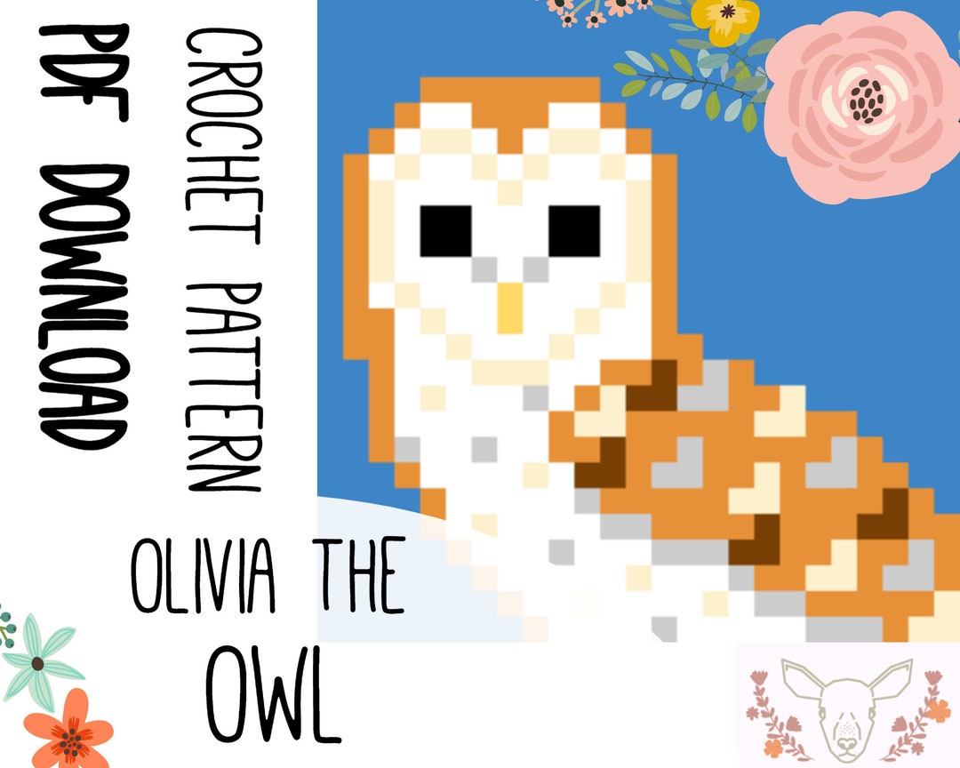 Olivia the Owl Graphgan Pattern - GRAPH and WRITTEN Pattern - Etsy