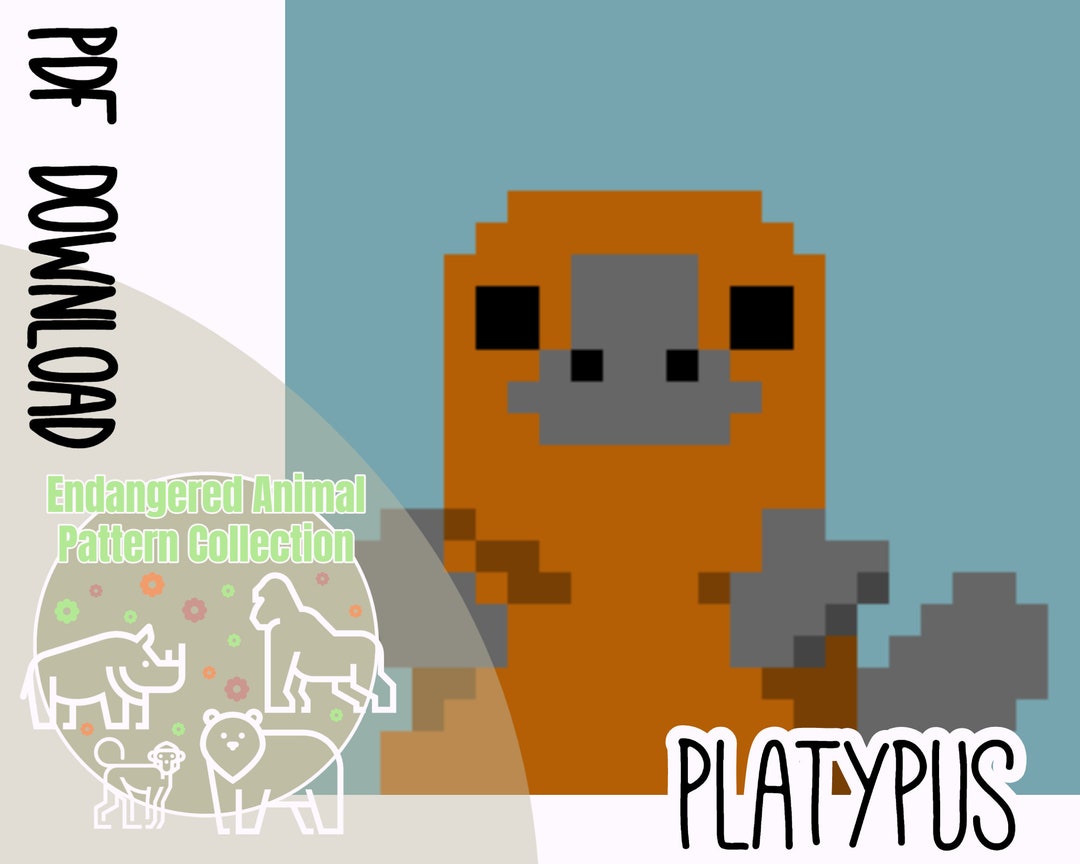 Platypus - GRAPH and WRITTEN Pattern - Etsy