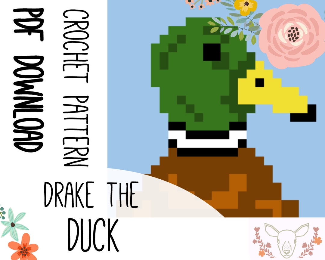 Drake the Duck Graphgan Pattern - GRAPH and WRITTEN Pattern - Etsy