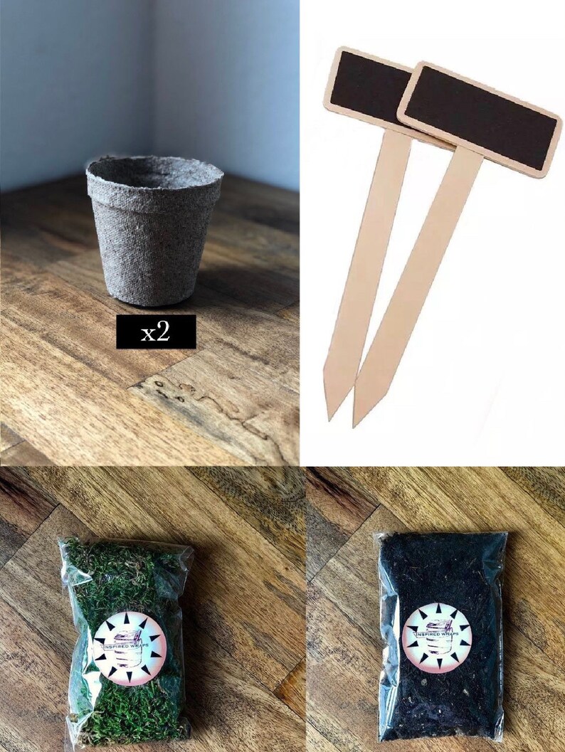 Rustic Herb Garden Starter Kit – Indoor Planting Gift Set With Pots ...