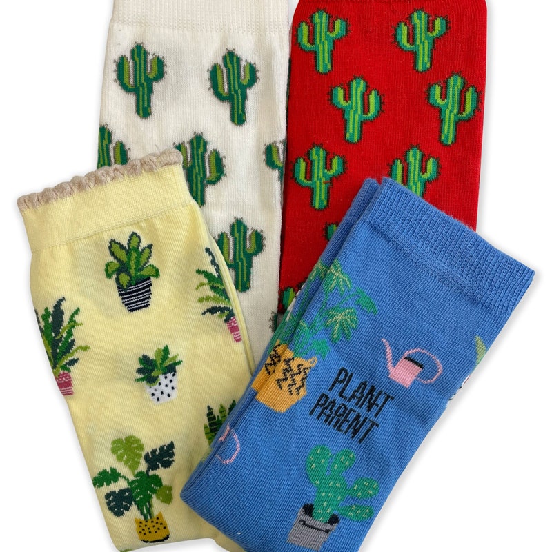 Cactus Gifts - 60+ Gift Ideas for 2025