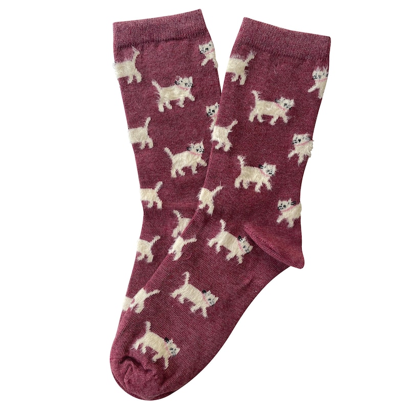 Cat Design Socks: Fluffy White Cats Burgundy Footwear, Cats Wearing ...