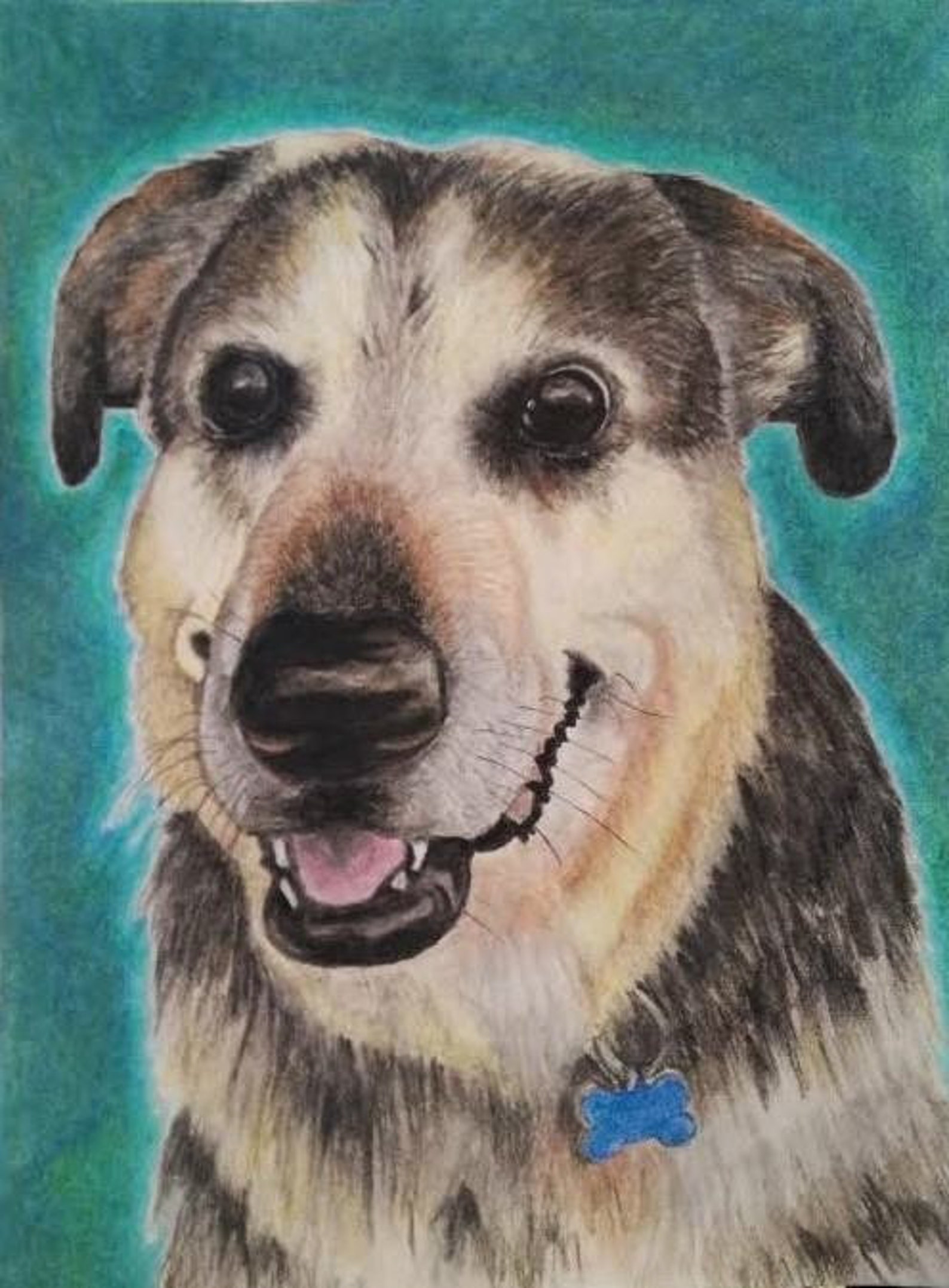 Custom Chalk Pastel Pet Portraits - Etsy