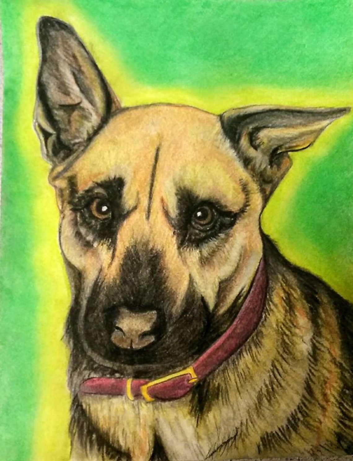 Custom Chalk Pastel Pet Portraits - Etsy