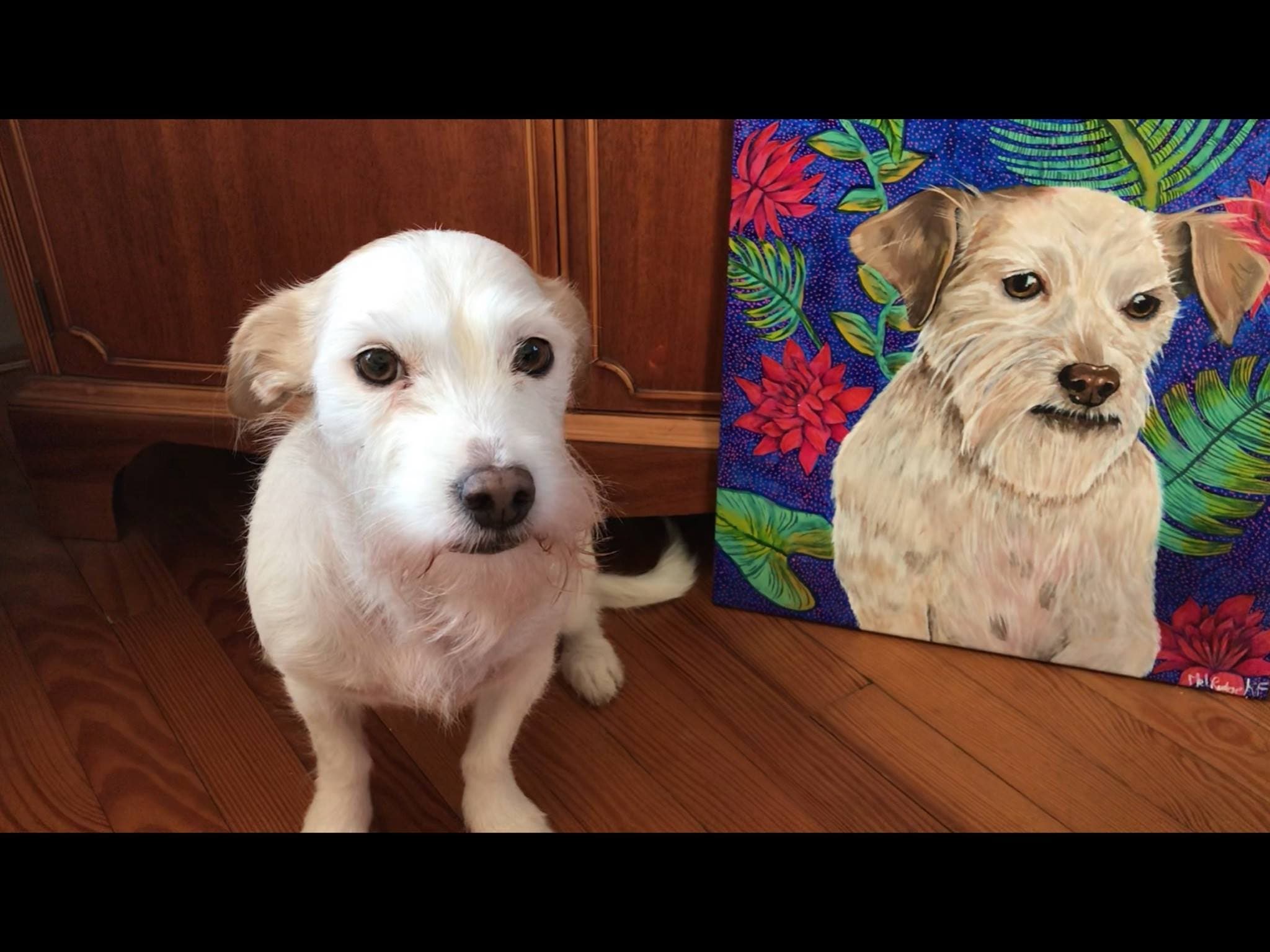 Custom Pet Portraits- Acrylic on Canvas - Etsy