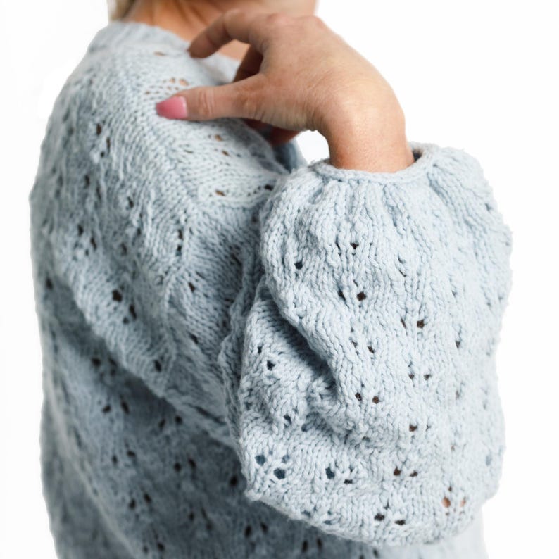 Holey Moley Sweater PDF Knitting Pattern - Etsy
