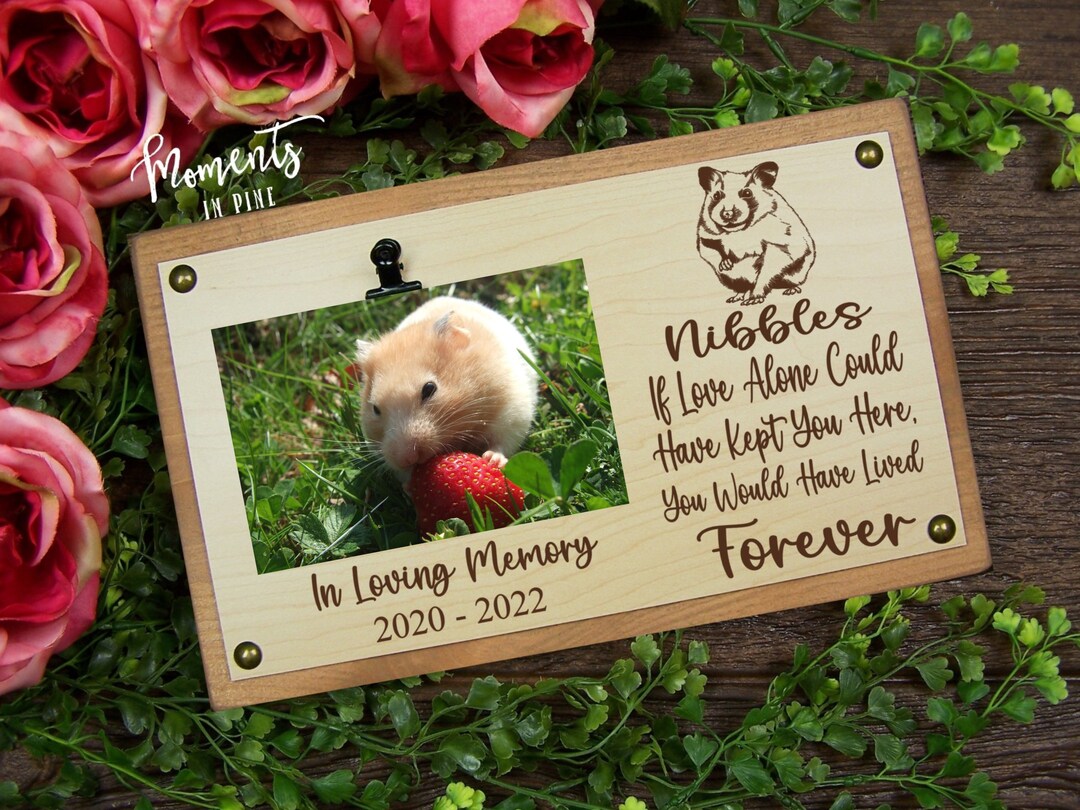 Hamster Memorial Gift, Loss of Pet Hamster Sign, Hamster Picture Frame ...
