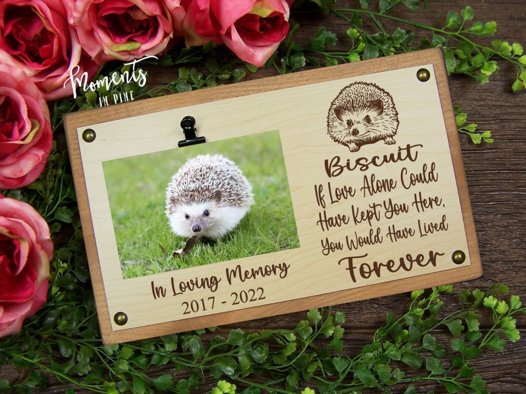 Hedgehog Memorial Gift, Personalized Pet Hedgehog Picture Frame Sign ...