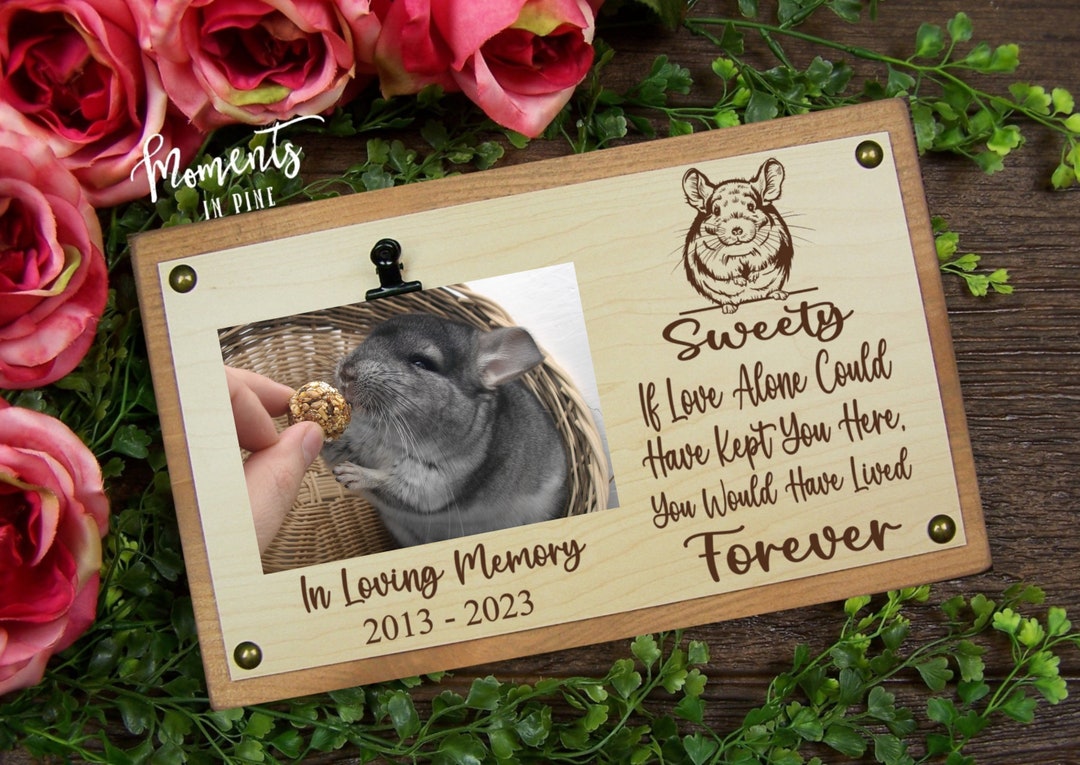 Chinchilla Memorial Gift, Chinchilla Memorial Picture Frame ...