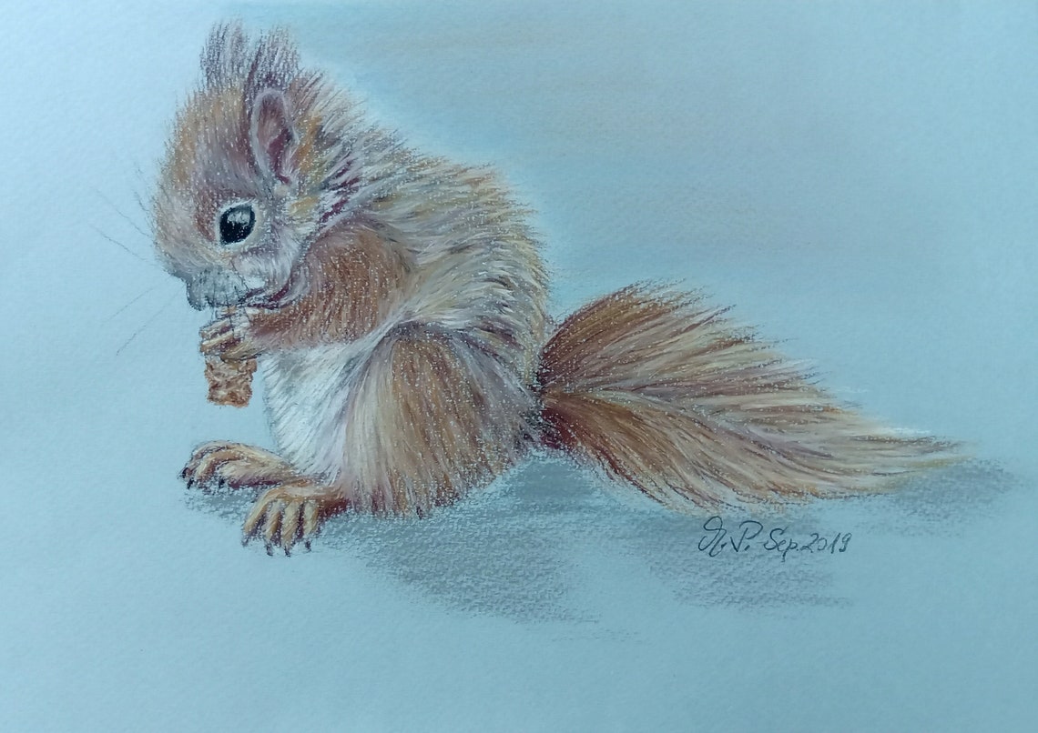 Pastel Chalk Painting squirrel With Walnut Find, Original Available as ...