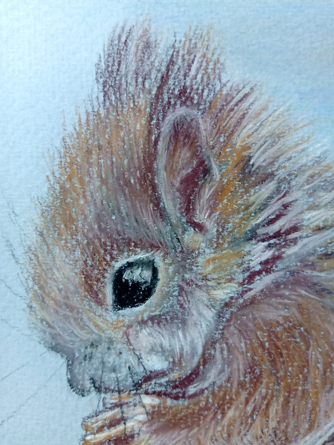 Pastel Chalk Painting squirrel With Walnut Find, Original Available as ...