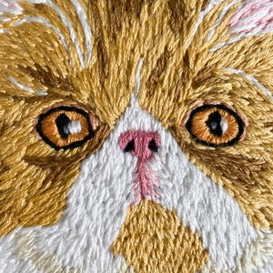 Orange Persian Cat Embroidery Pattern PDF Digital Download, Hoop Art 5 ...