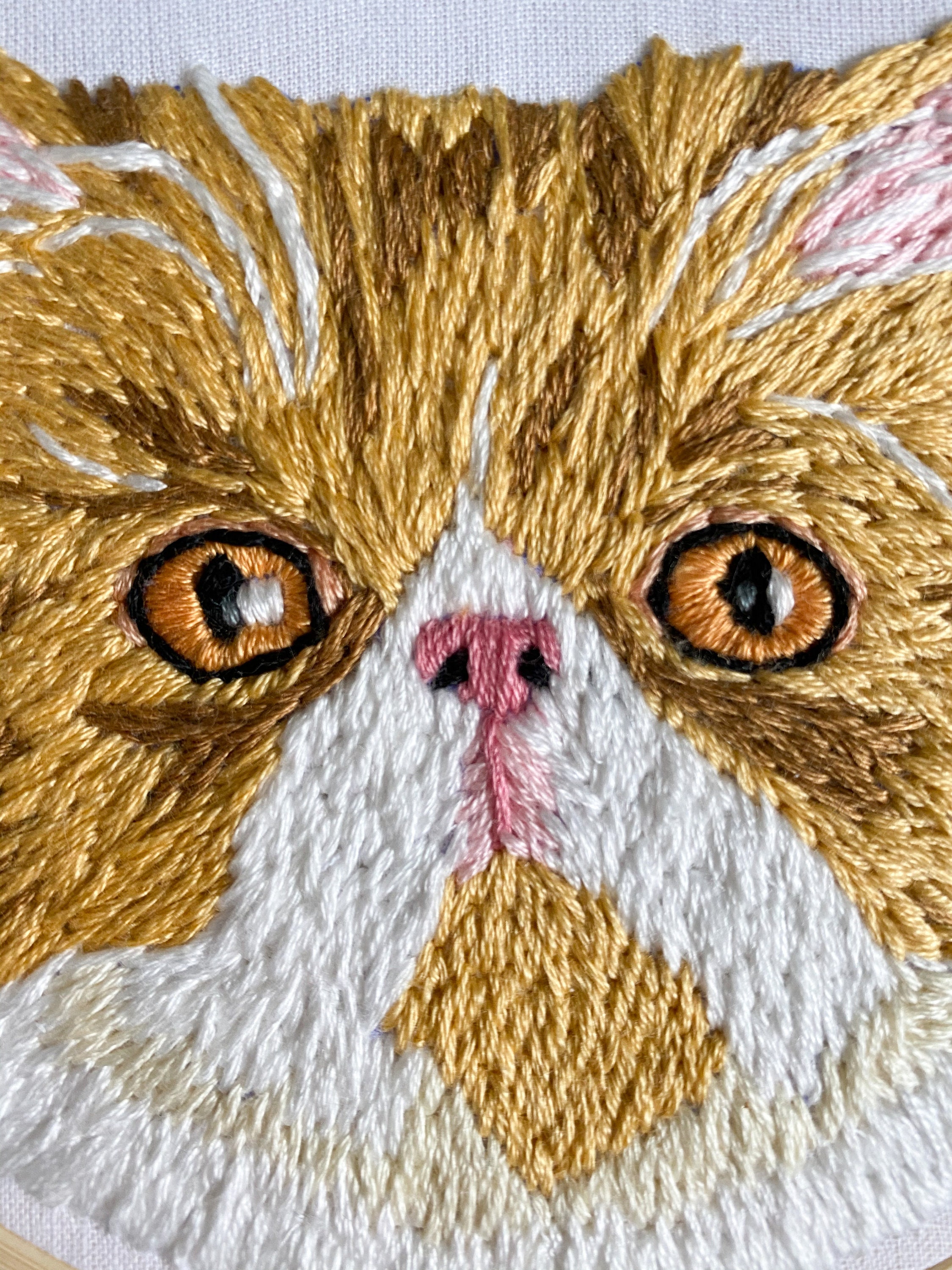 Orange Persian Cat Embroidery Pattern PDF Digital Download - Etsy