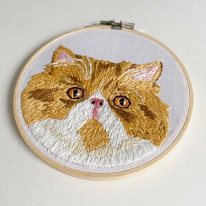Orange Persian Cat Embroidery Pattern PDF Digital Download, Hoop Art 5 ...