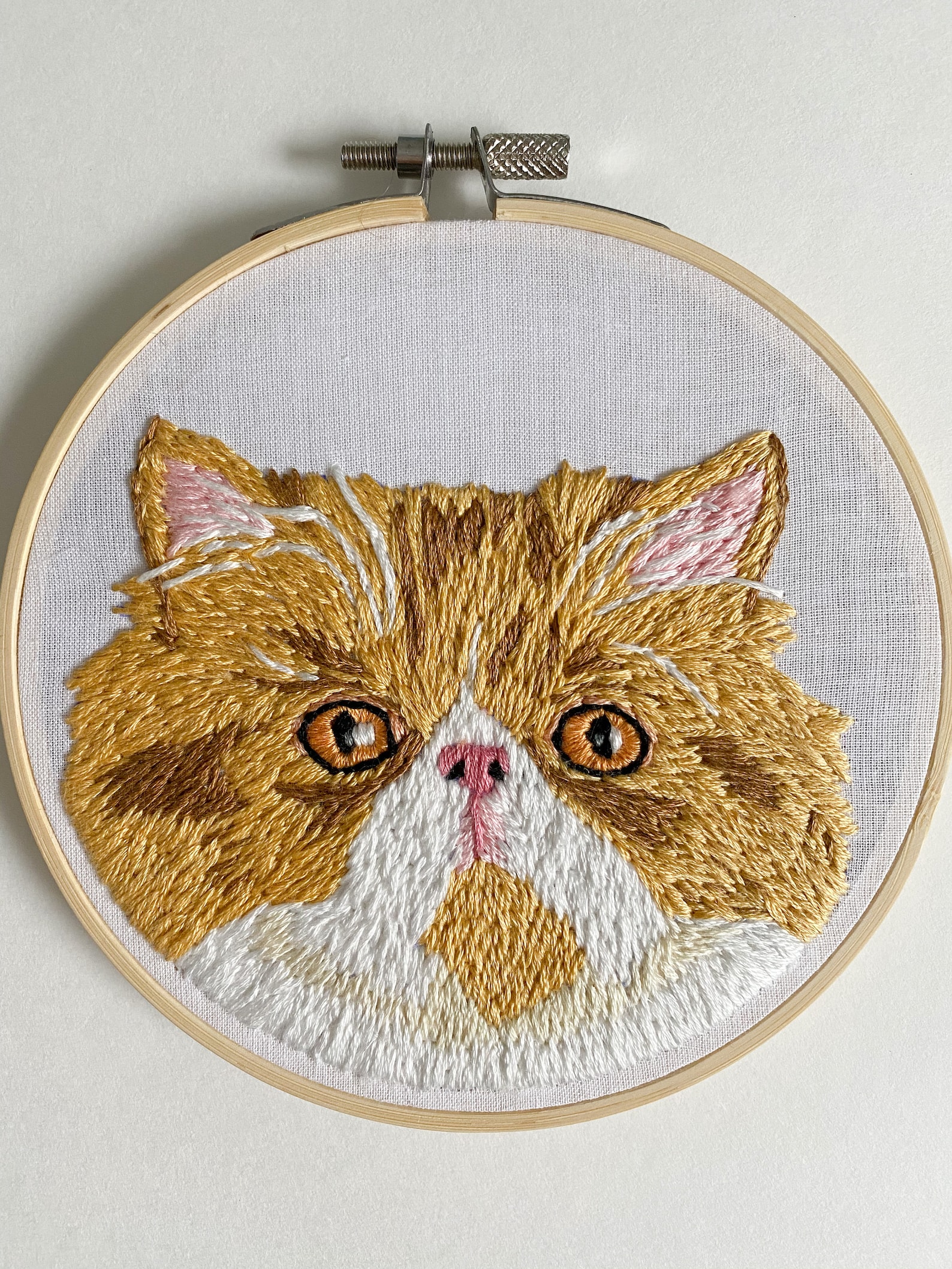 Orange Persian Cat Embroidery Pattern PDF Digital Download | Etsy